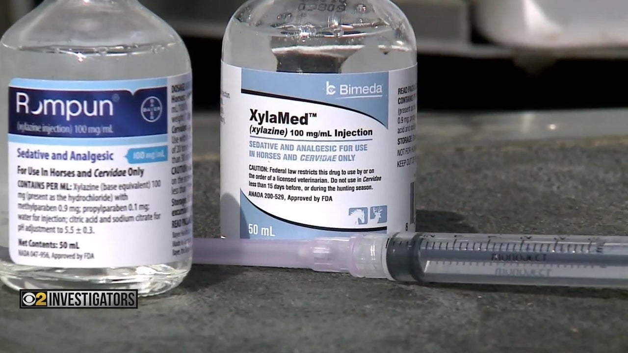 Xylazine Rcp Remote Neuroinflammation In Newly Diagnosed Glioblastoma