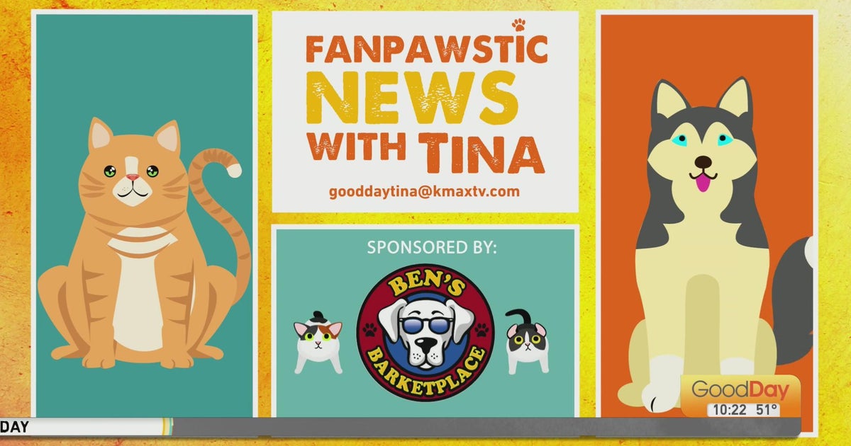 FanPAWstic News with Tina! - Good Day Sacramento