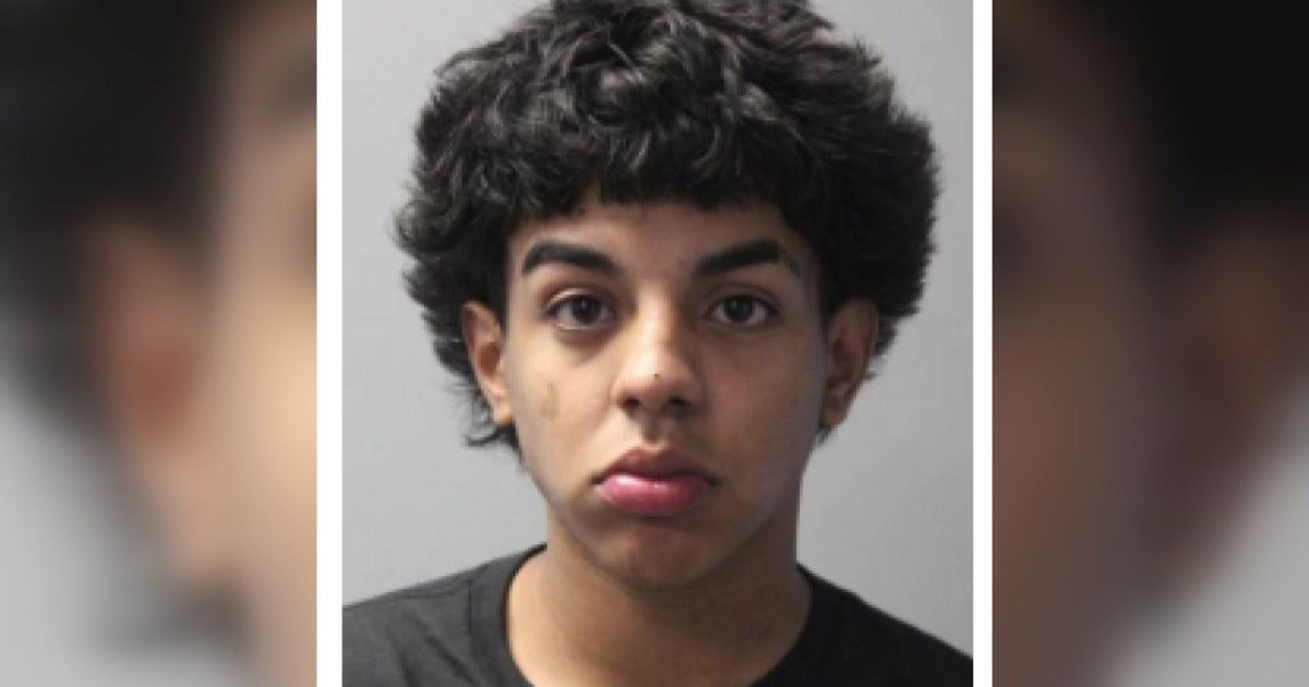 Suffolk County Police: Christian Castillo wanted for allegedly striking ...
