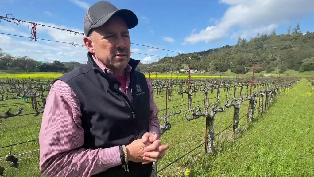 Wine Country growers brace for possible weekend freeze - CBS San Francisco