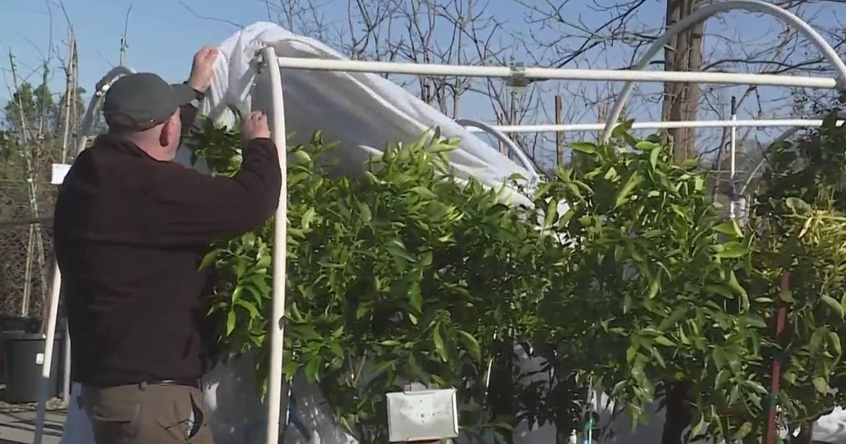Weekend frost advisories a threat to valley growers, farmers; impact ...