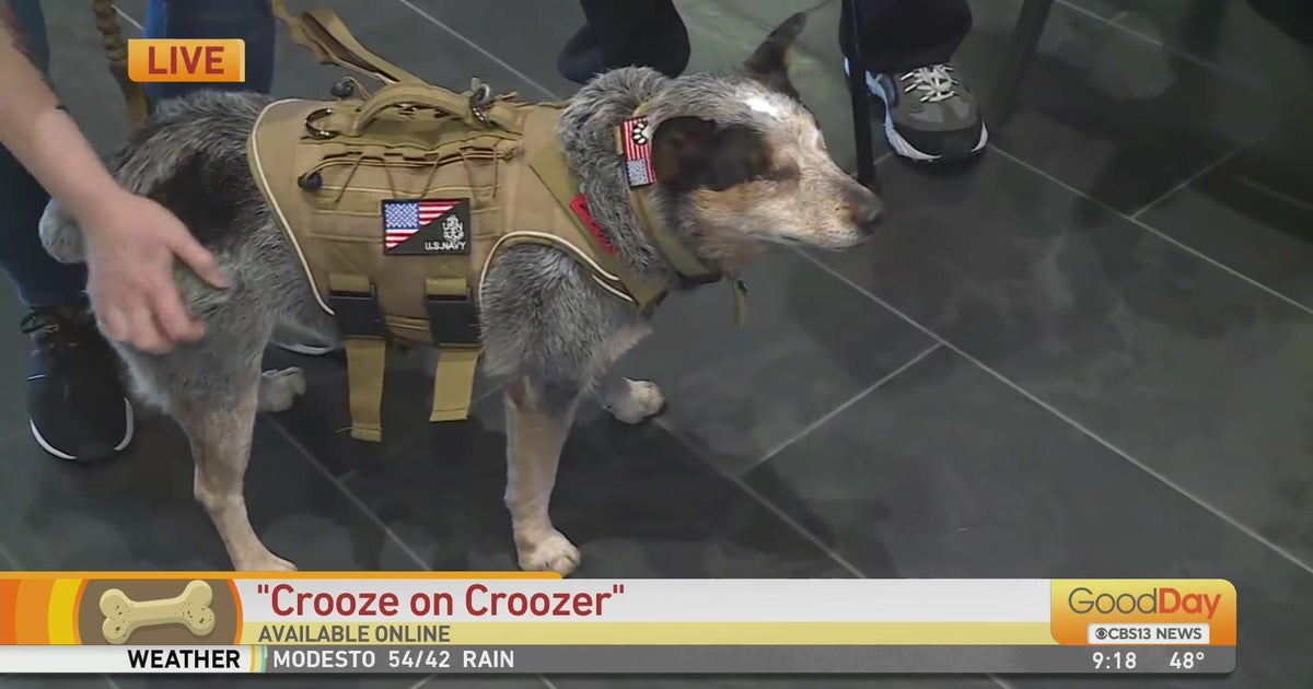 "Crooze on Croozer" - Good Day Sacramento