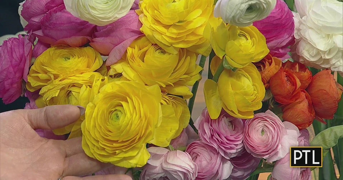 Spring is blooming at Root + Bloom in Renfrew - CBS Pittsburgh