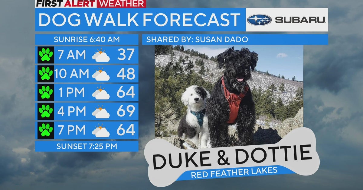 Duke & Dottie join Dog Walk Forecast - CBS Colorado