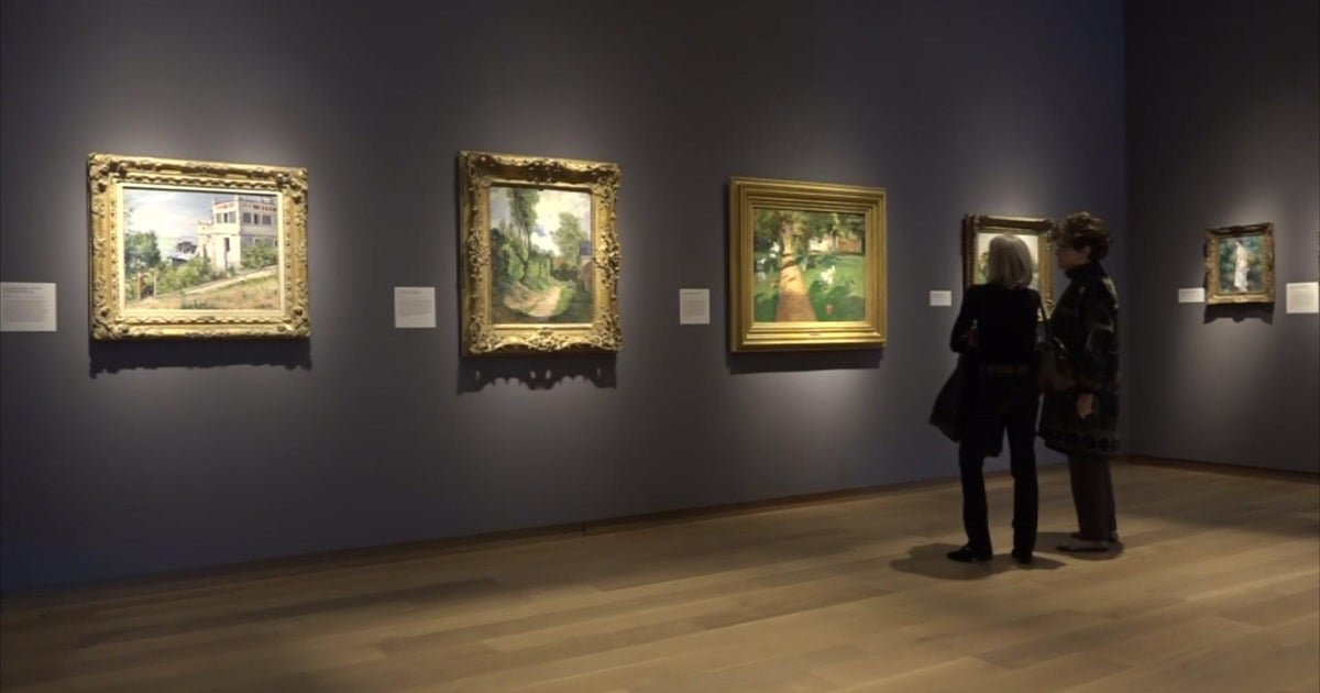 Bruce Museum reopens in Greenwich with $60 million addition featuring ...