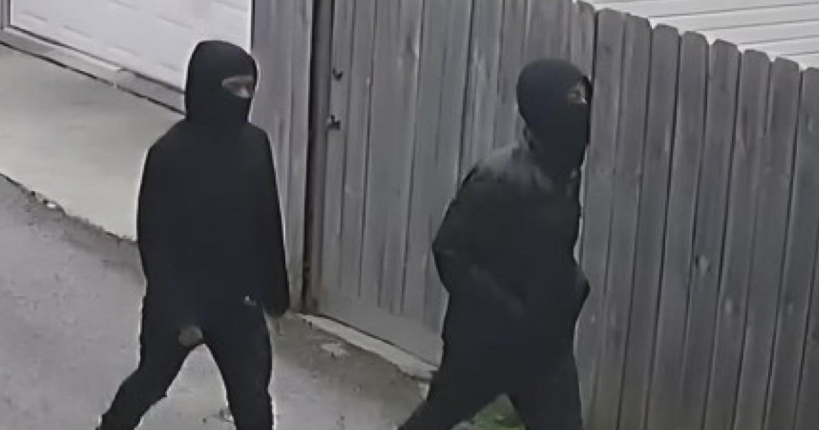 Reward offered for information leading to arrest in attack on USPS ...