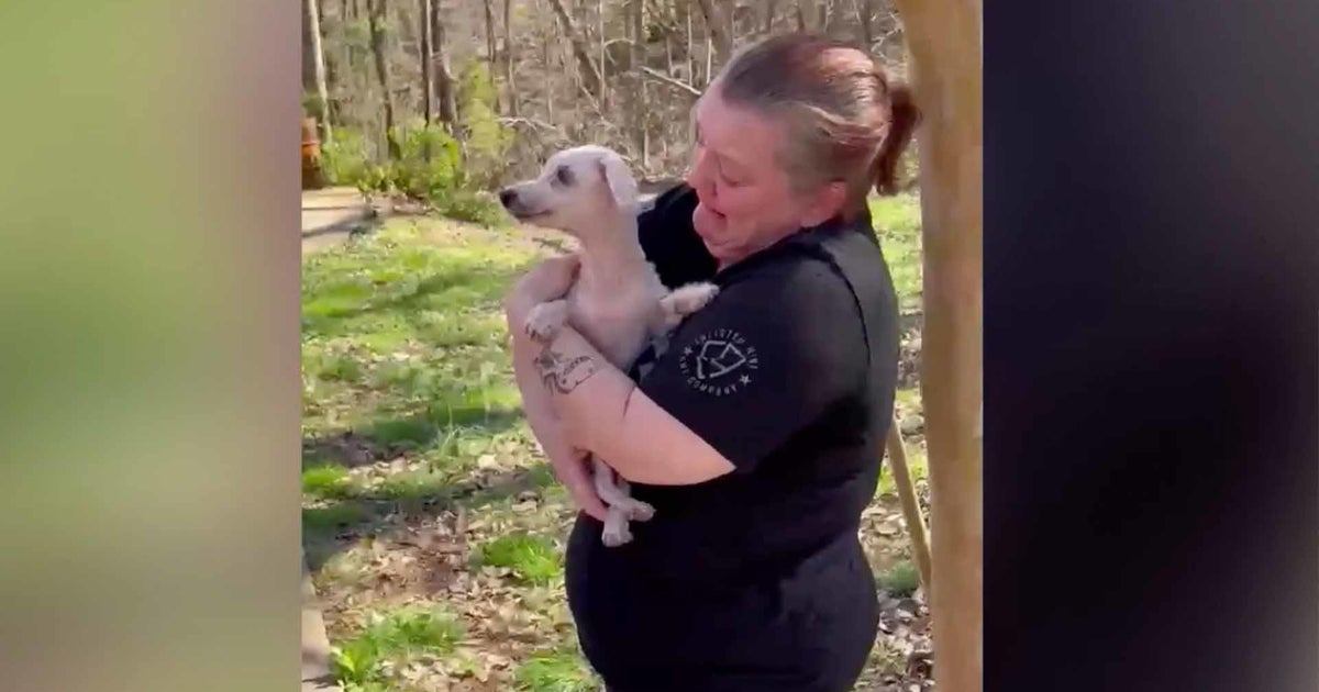 18-year-old dog missing for three years reunited with owner - CBS News