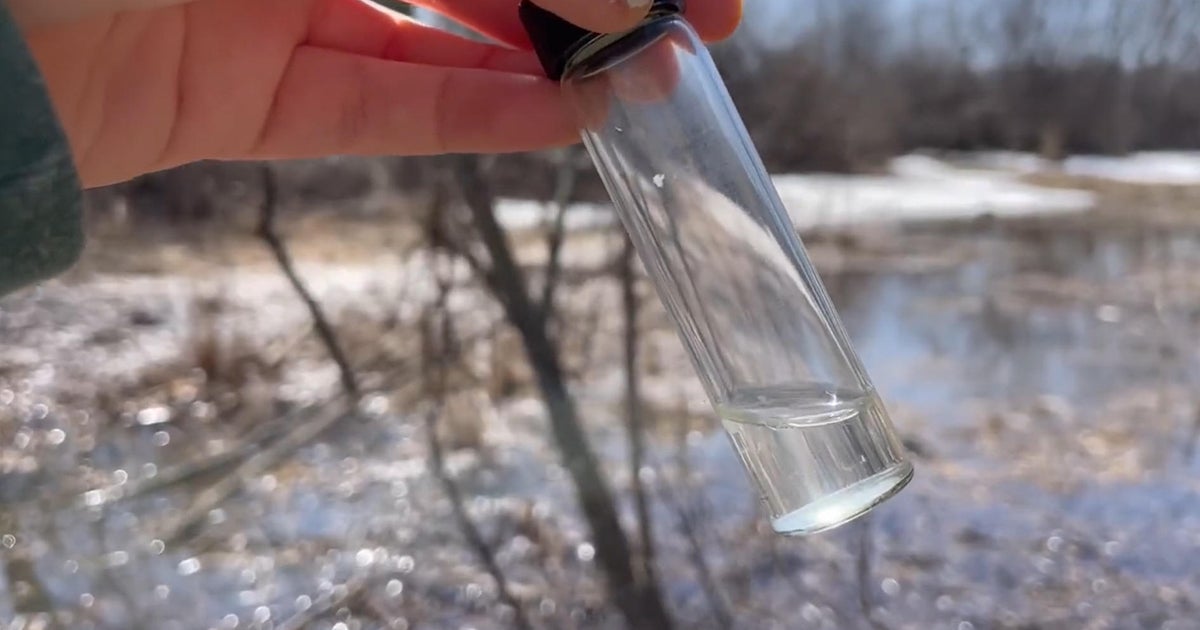 First Twin Cities mosquito larvae of 2023 found in Oakdale - CBS Minnesota