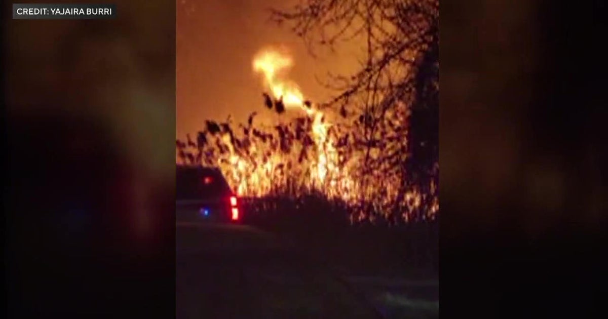 Brush fire consumes parts of 800-acre park in Teaneck, N.J. - CBS New York