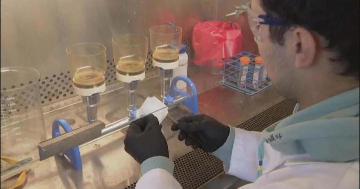 USC researchers find antibiotic-resistant bacteria growing in LA's ...