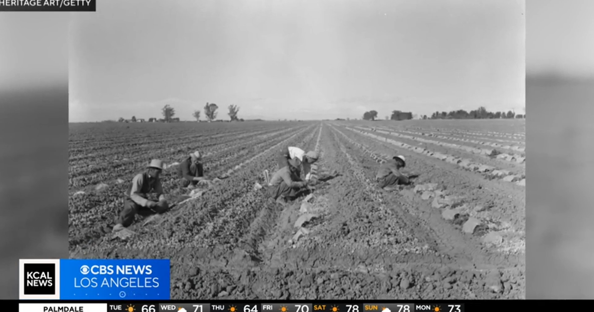 Feds propose plans for future of Colorado River water distribution ...