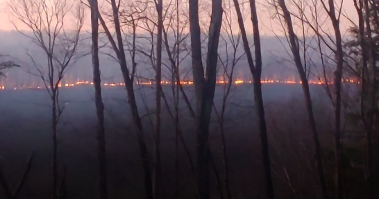 Elk County wildfire: Massive blaze burns 180 acres - CBS Pittsburgh