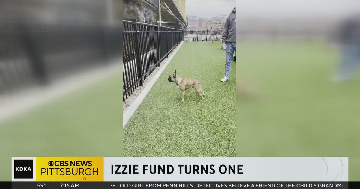 Izzie Fund celebrates one year - CBS Pittsburgh