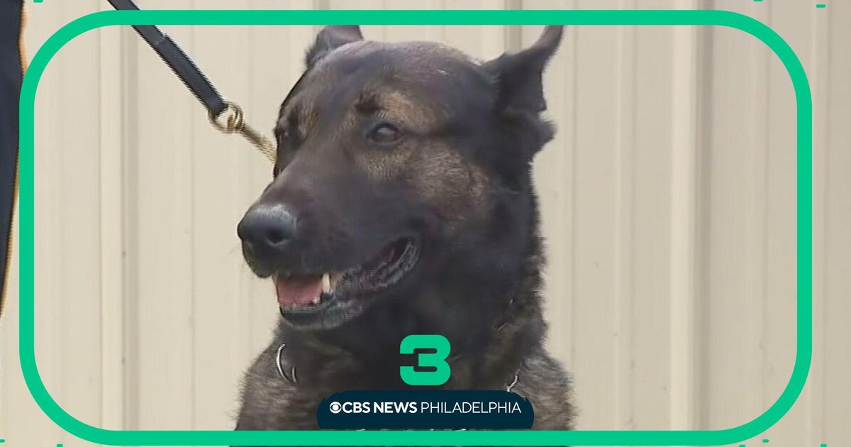 New police K9 kennel in Bensalem - CBS Philadelphia