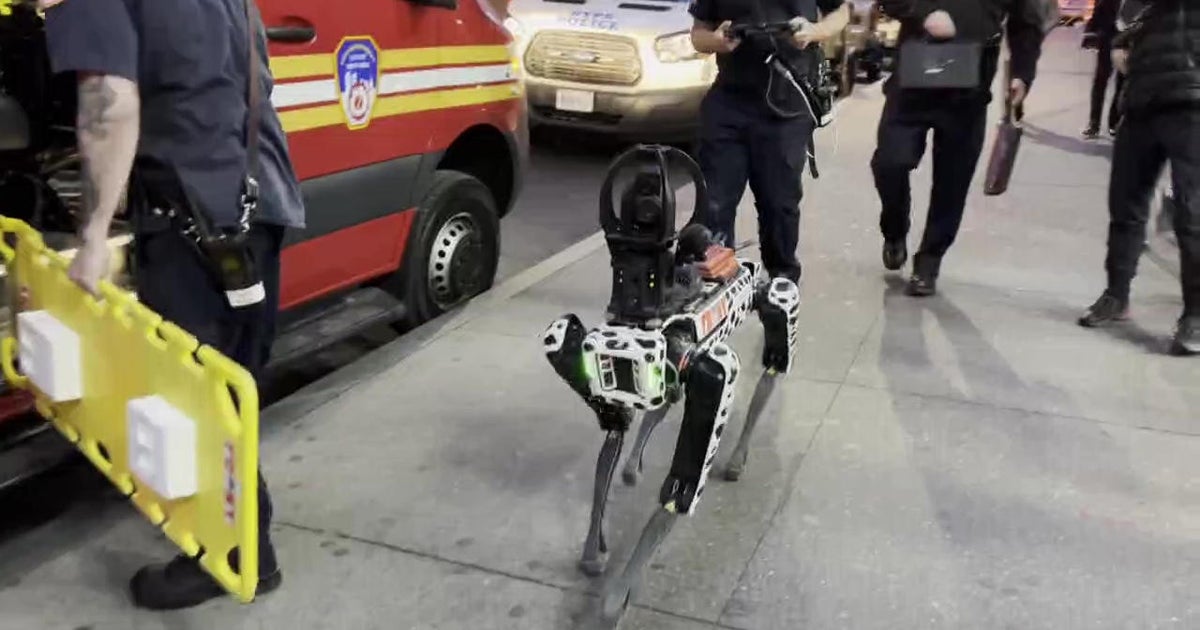 Firefighter says robot dogs and drones are here to stay, but cannot ...