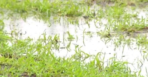Land locked farms impacted by spring melt flooding that delays planting ...