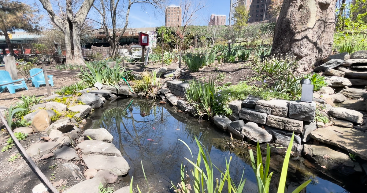 Bronx organizations pushing for environmental justice with high asthma ...