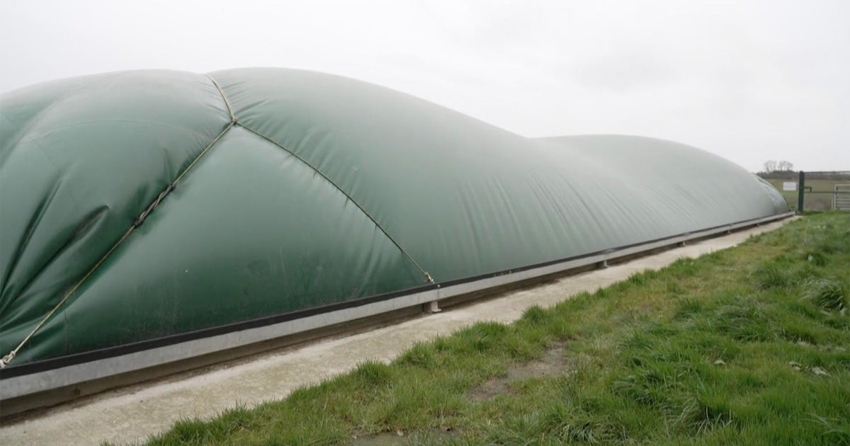 How a new process can turn cow waste into usable gas - CBS San Francisco