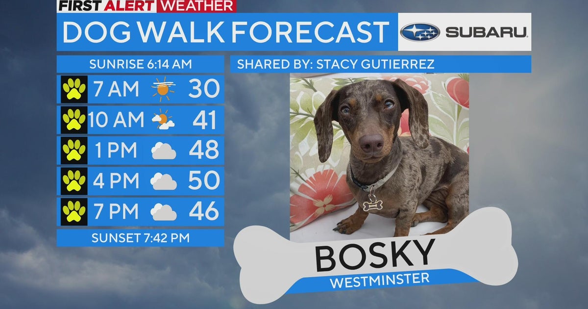 Bosky joins Dog Walk Forecast - CBS Colorado