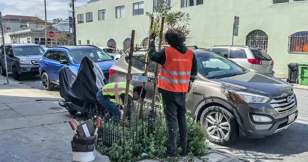 San Francisco faces uphill climb to replace fallen trees - CBS San ...
