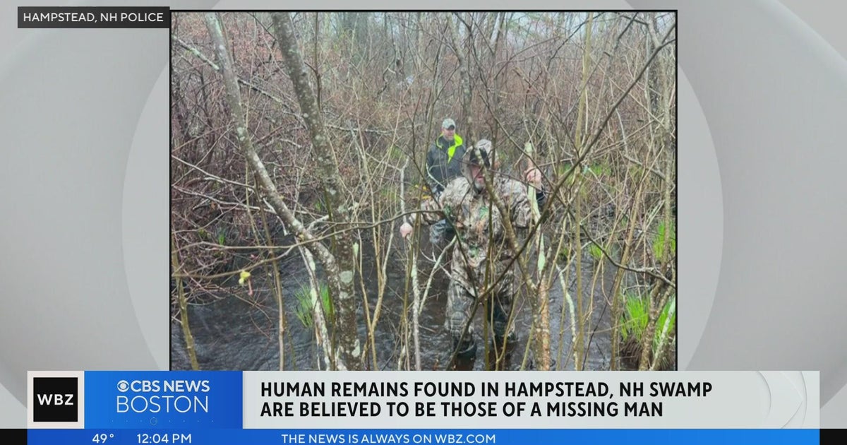 Human remains found in Hampstead swamp believed to belong to missing ...