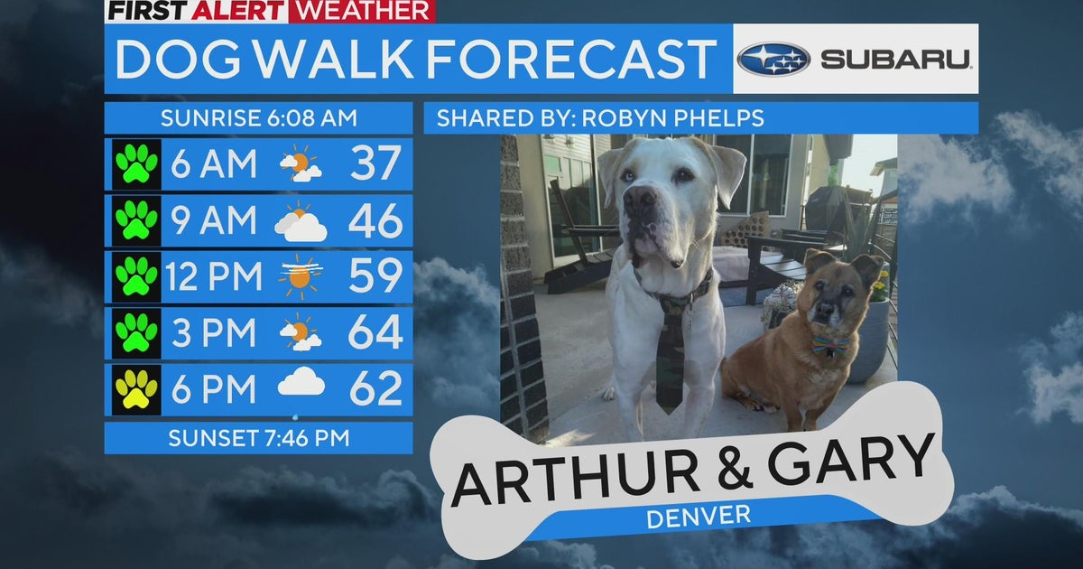 Arthur & Gary join Dog Walk Forecast - CBS Colorado