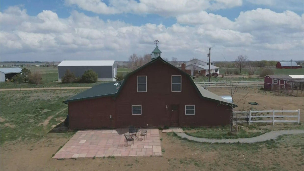 World's No. 1 pinball player lives in Longmont, go inside his barn ...