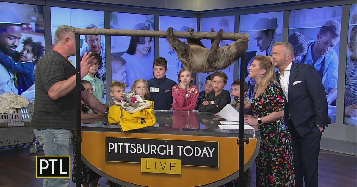 What do sloths eat? - CBS Pittsburgh