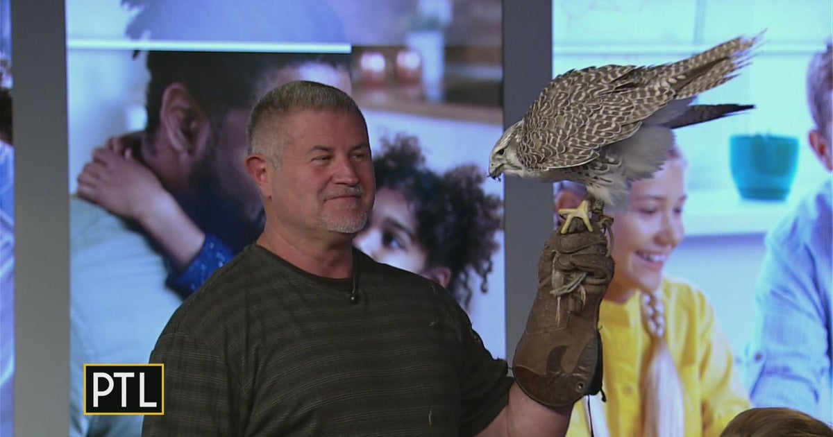 KDKA kids learn about falcons and snakes from the Wild World of Animals ...