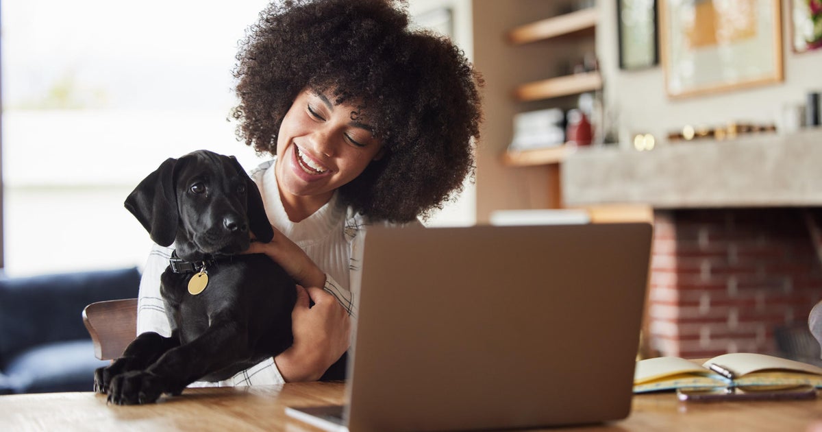 What to look for in a pet insurance policy, according to vets - CBS News
