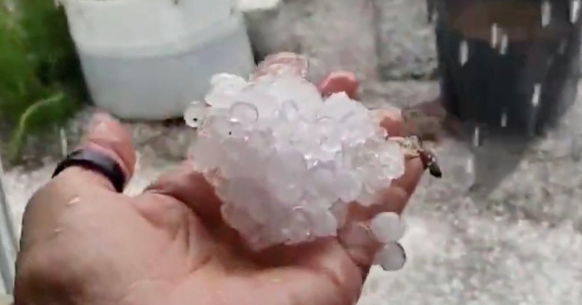 Hail covers Florida family's backyard - CBS News