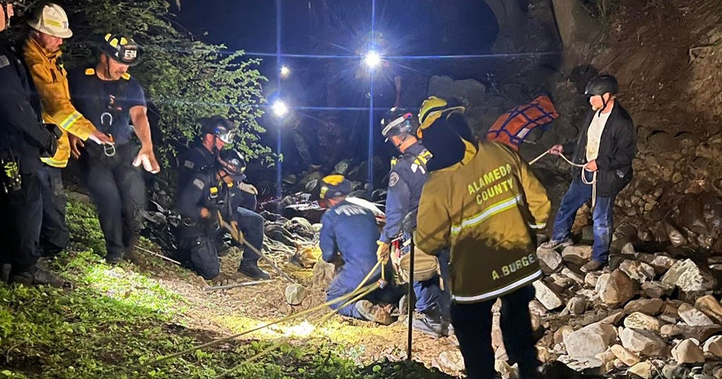 Horse dies, rider injured after falling into creek in Union City - CBS ...