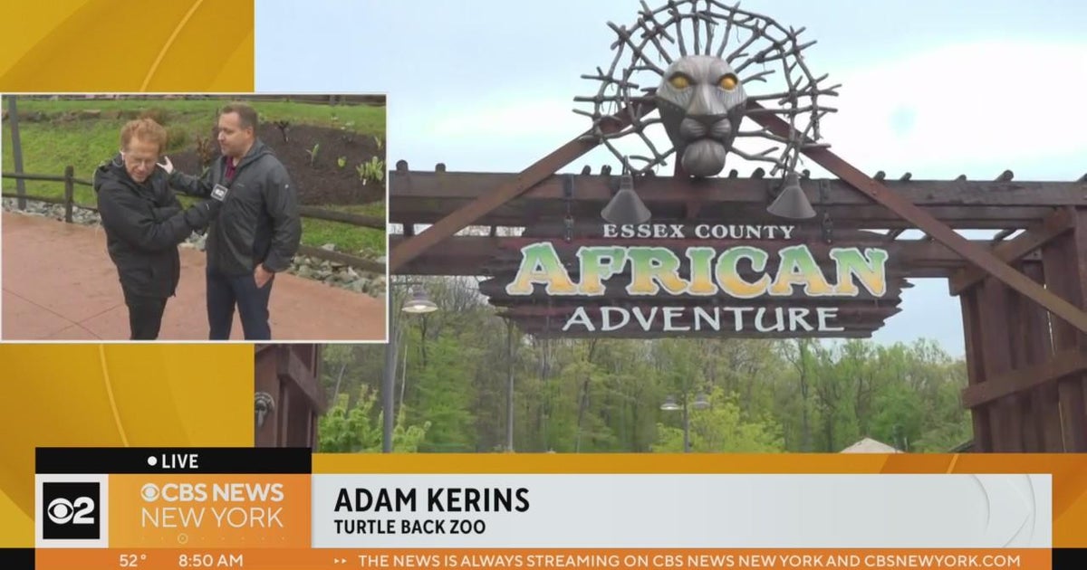 Turtle Back Zoo executive director - CBS New York