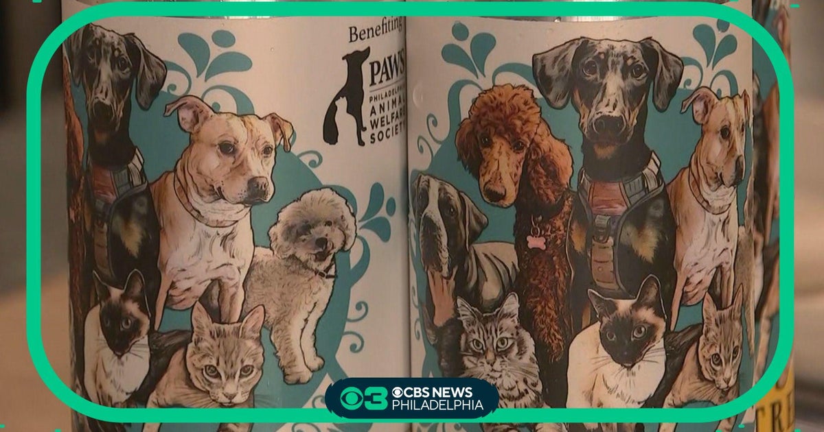 Dock Street's new hazy IPA is made just for the dogs to benefit PAWS ...