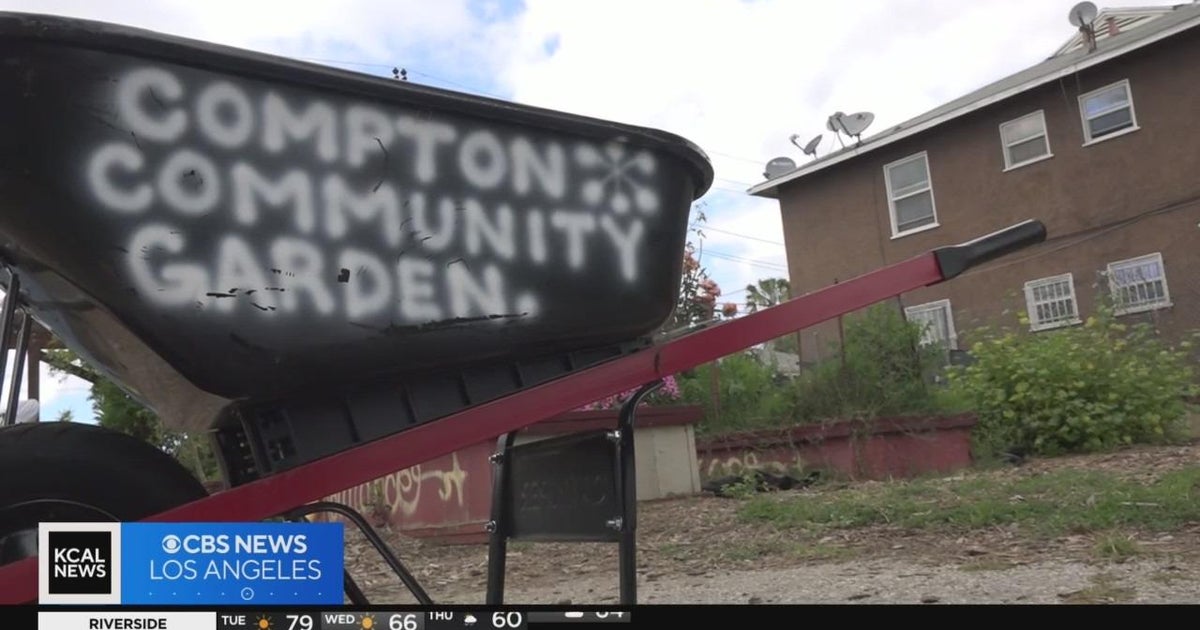 Residents raise enough money to save Compton Community Garden - CBS Los ...