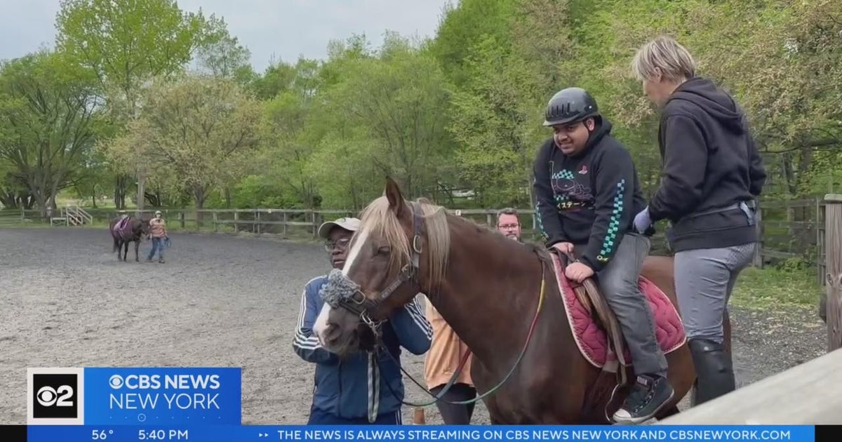 GallopNYC offers horseback riding as a therapeutic tool - CBS New York GallopNYC offers horseback riding as a therapeutic tool - CBS New York