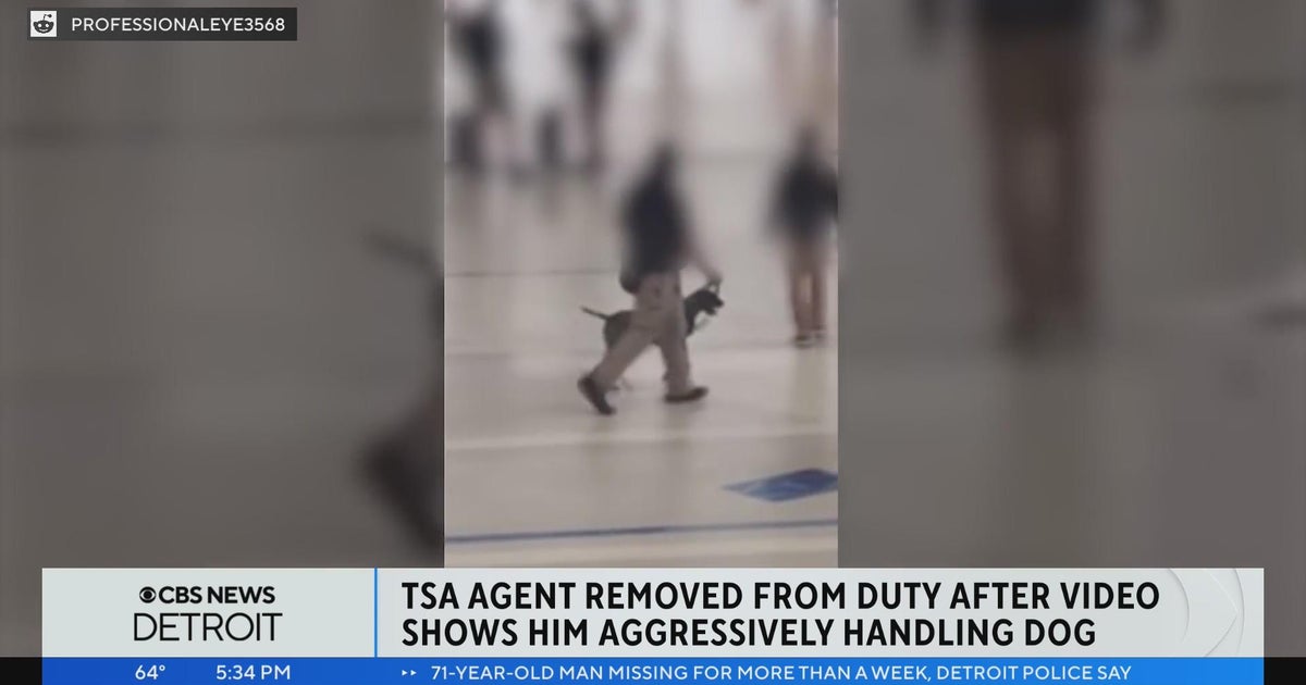 Detroit TSA K-9 handler removed from duty after video shows him ...