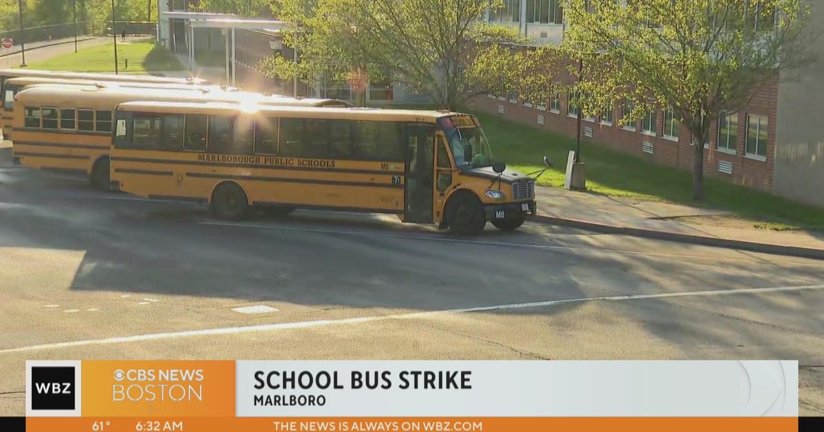 Marlboro school bus drivers go on strike - CBS Boston