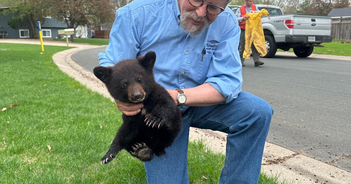 Officials intervene to help seemingly abandoned bear cub in Maple Grove ...