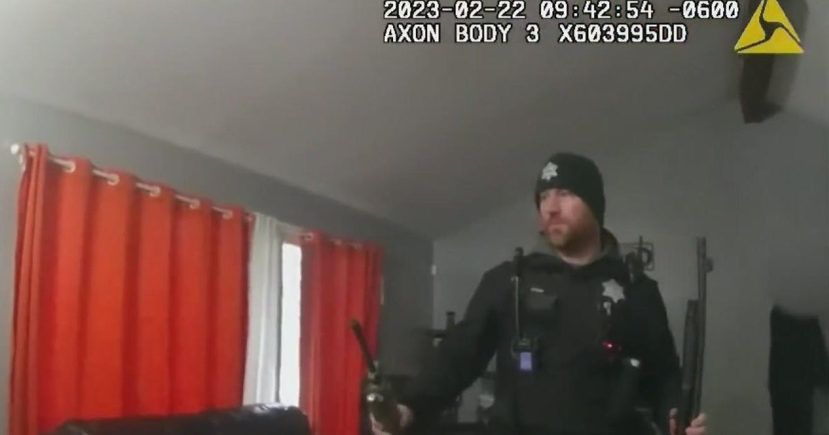 Cook County sheriff on struggles to take guns from those with revoked ...