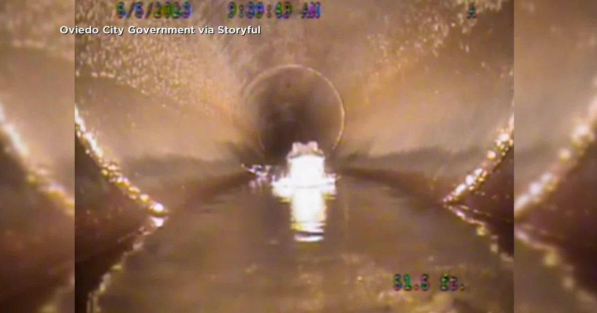 Caught on Camera: FL City Crew's Robot Finds Gator in Stormwater Pipe ...