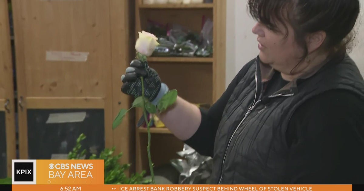 Mothers Day: Garden Party's Amy Vasser on how to make that perfect ...