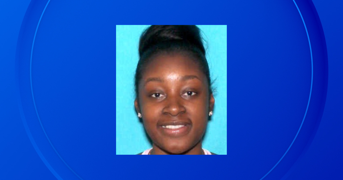 Suspect in custody in alleged kidnapping, murder of Patrice Wilson ...