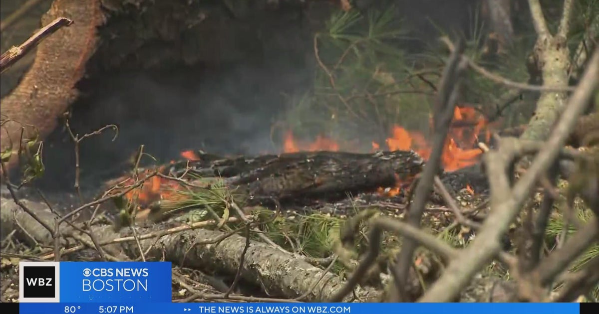 Massachusetts under red flag warning as brush fires break out across ...