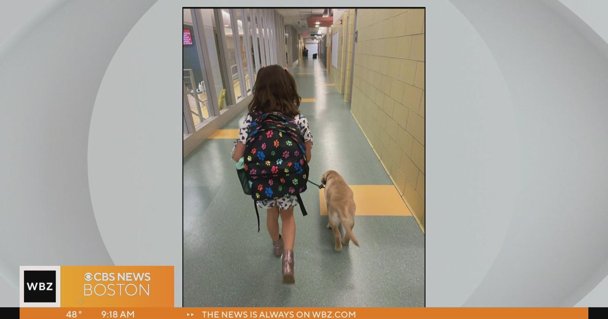 Howie The Comfort Dog provides support for students at Howe-Manning ...