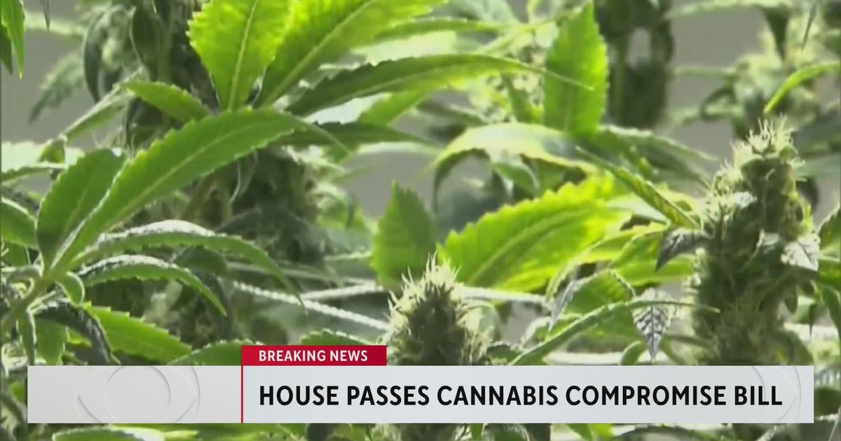 Minnesota House passes final cannabis legalization bill - CBS Minnesota