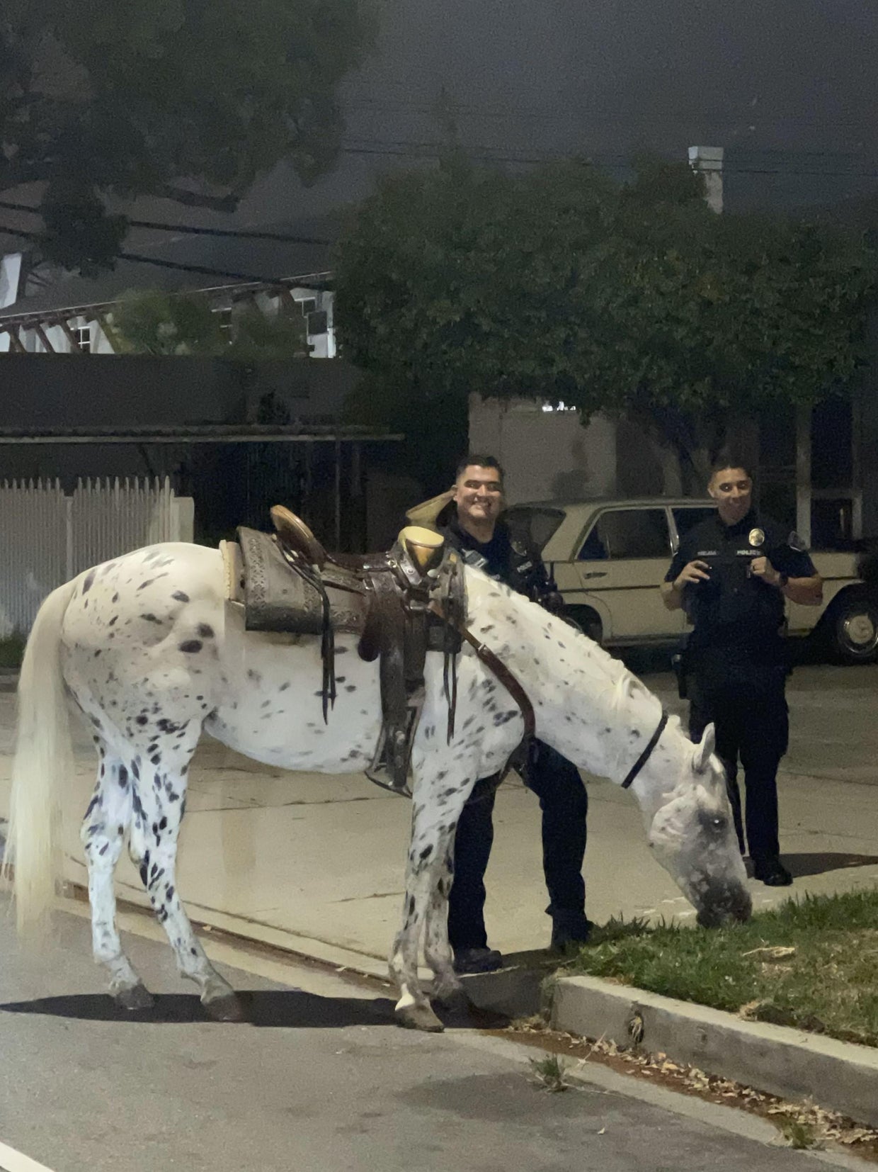 Burbank police officer tracks down runaway horse, ride it back to owner ...