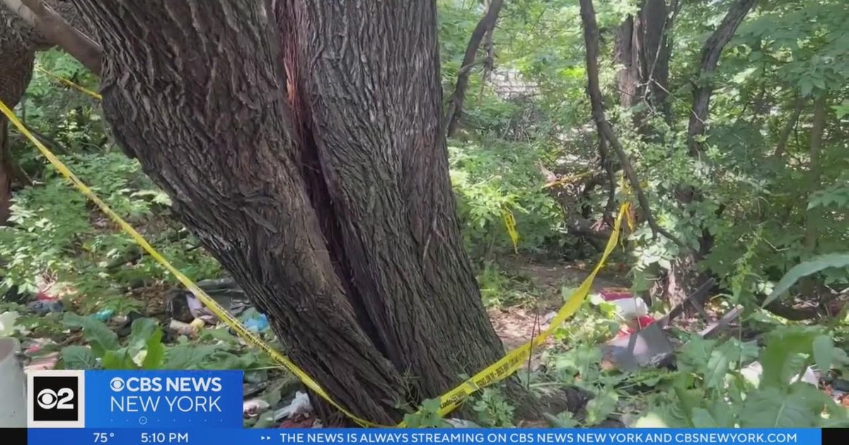 Baby girl found dead in the woods in the Bronx - CBS New York