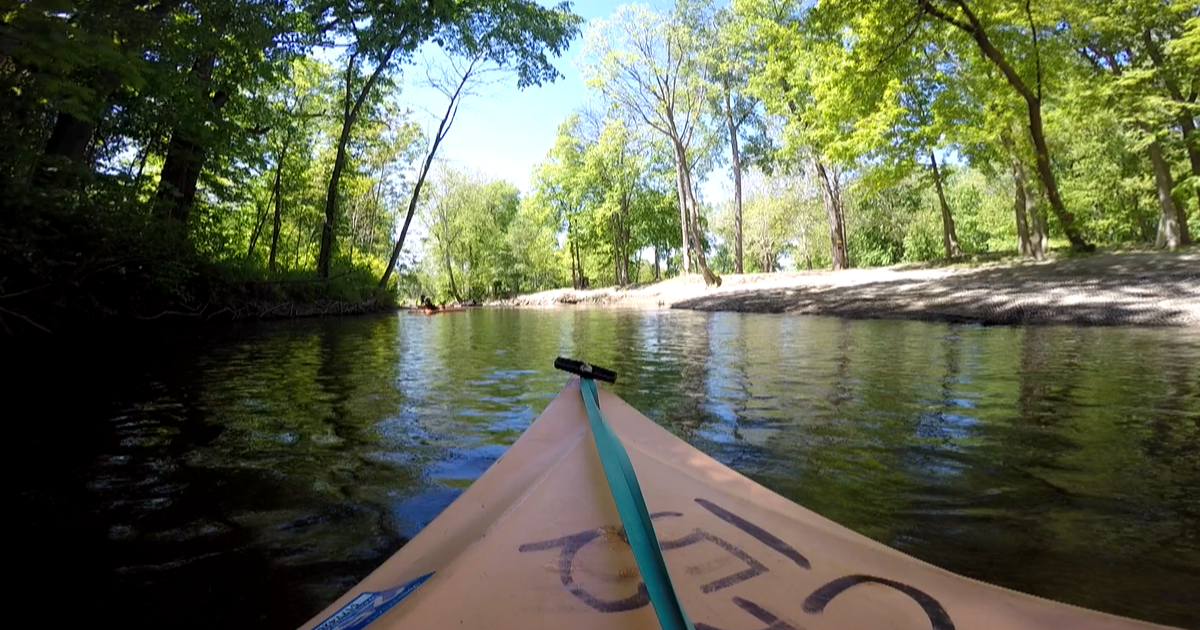 Paddle your way through the Clinton River in Macomb County - CBS Detroit