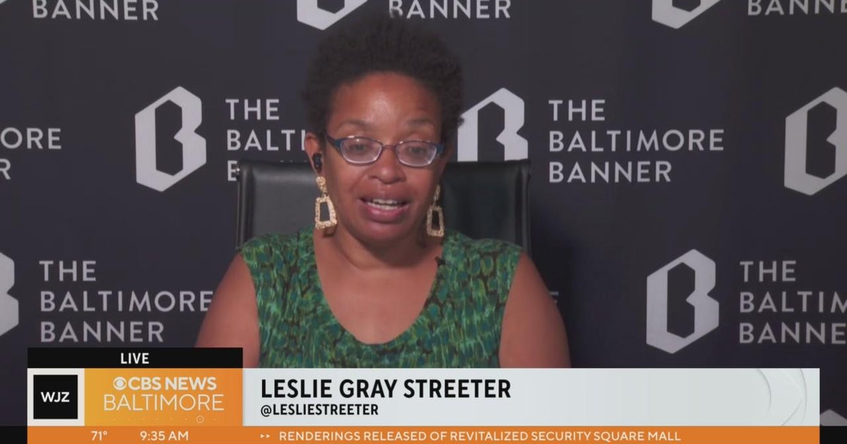 Leslie Gray Streeter discusses Tina Turner hand her hard earned success ...